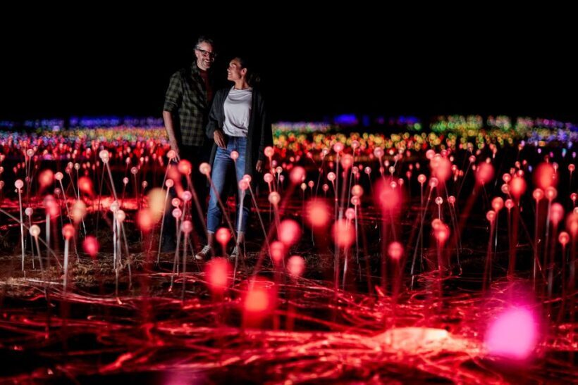 Uluru: Field of Light Sunrise Tour with Hot Drinks - Who Should Consider This Tour?