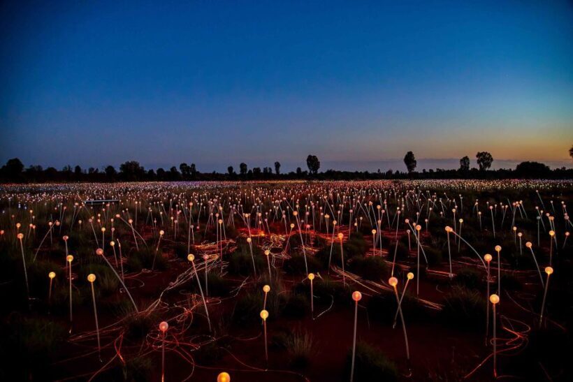 Uluru: Field of Light Sunrise Tour with Hot Drinks - FAQ