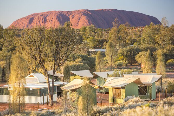 Uluru Kata Tjuta 1 Day 1 Night Outback Experience from Ayers Rock - An In-Depth Look at the Uluru Kata Tjuta Outback Experience