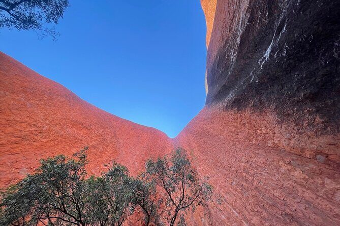 Uluru Private Tour Aboriginal guided option - Practical Considerations and Value
