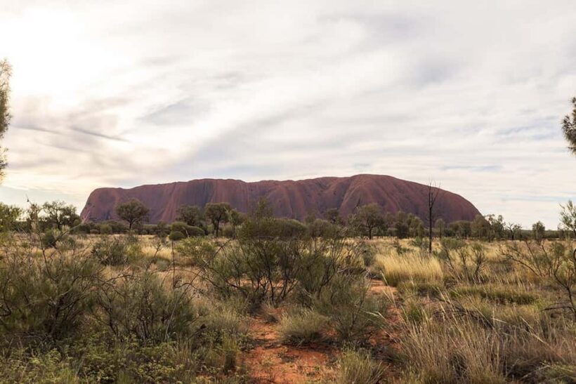 Uluru: Small Group Sunset Tour with Sparkling Wine - Who Should Consider This Tour?