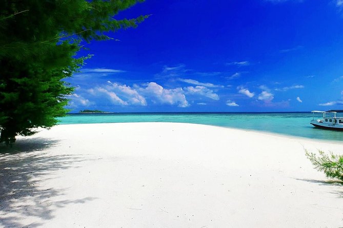 Uluwatu Sunset, Kecak Dance and Jimbaran Seafood Dinner - Logistics: What to Expect