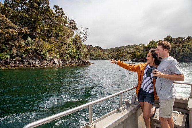 Ulva Island Explorer from Stewart Island - The Value of the Experience