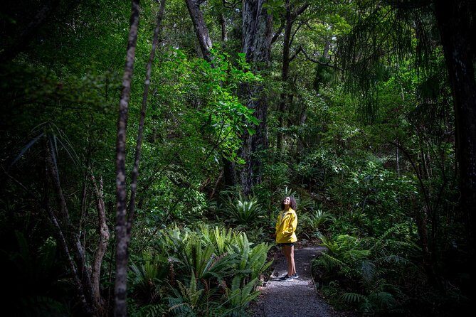 Ulva Island Explorer from Stewart Island - The Ideal Traveller for This Tour