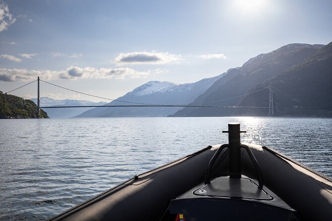 Ulvik Ultimate Hardangerfjord RIB Adventure - Onboard Safety and Comfort