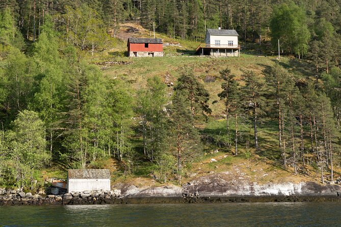 Ulvik Ultimate Hardangerfjord RIB Adventure - Knowledgeable Guides and Informative Experiences