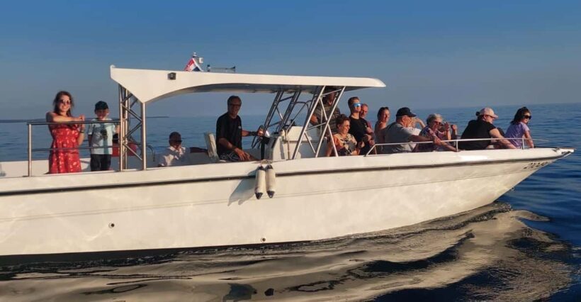 Umag: Dolphinwatching & sunset panorama tour - Key Points