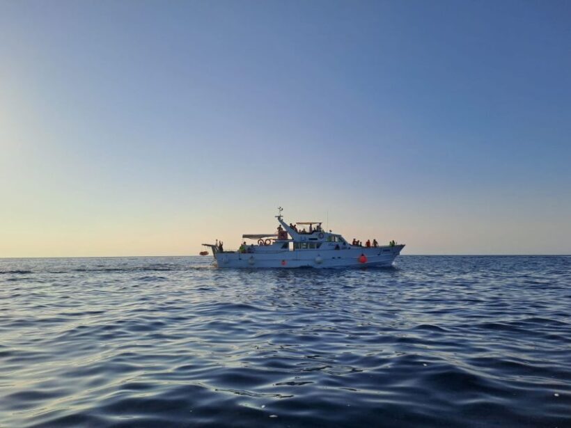 Umag: Sunset Cruise with Dolphin Spotting - An In-Depth Look at the Sunset Dolphin Cruise