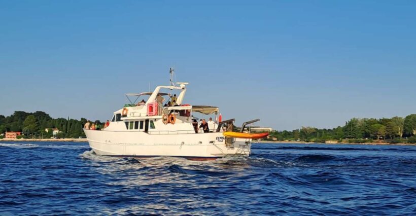 Umag: Sunset Cruise with Dolphin Spotting - Wildlife and Dolphin Spotting
