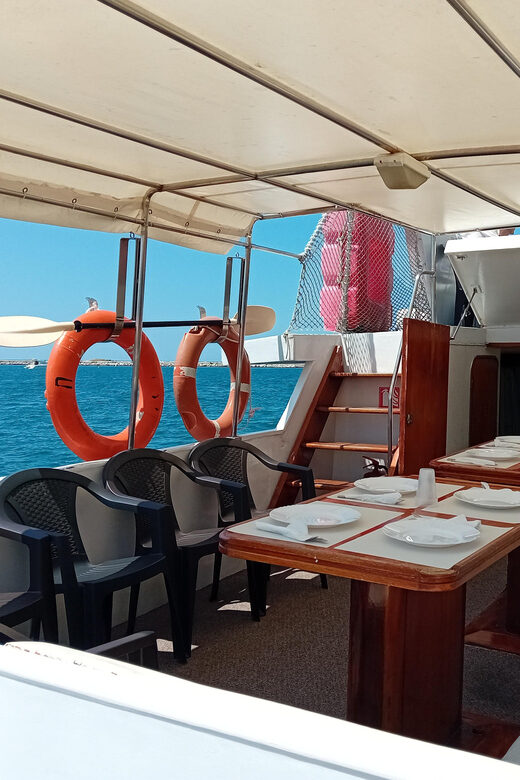 UMAG: Swimming&Panorama / Welcome Drink and Dolphin spotting - A Closer Look at the Experience