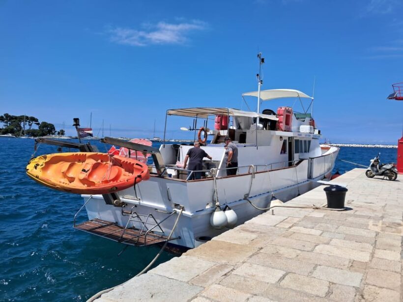 UMAG: Swimming&Panorama / Welcome Drink and Dolphin spotting - Who Should Consider This Tour?