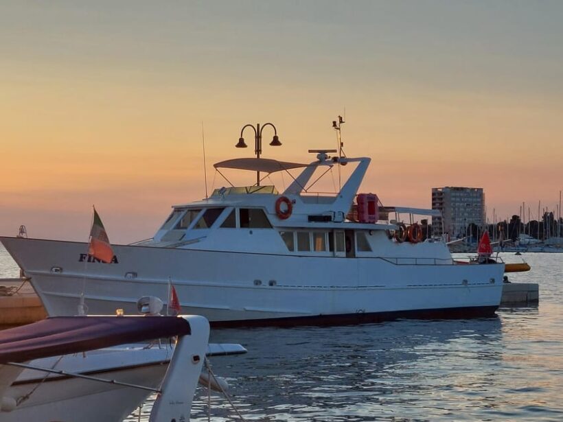 UMAG: Swimming&Panorama / Welcome Drink and Dolphin spotting - The Sum Up