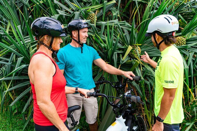 Umauma Falls eBike Tour in Hakalau - An In-Depth Look at the Umauma Falls eBike Experience