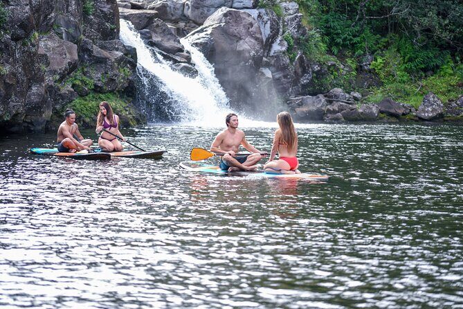 Umauma Falls Private Waterfall And River Swim - An In-Depth Look at the Umauma Falls Private Waterfall and River Swim Tour