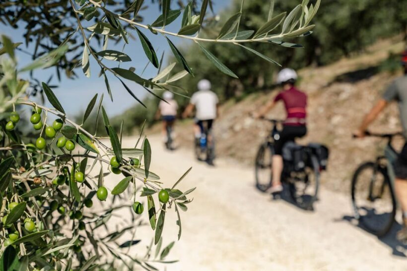 Umbria: E-Bike Rental and Fresh EV Olive Oil Tasting - What to Expect from This Umbrian Adventure