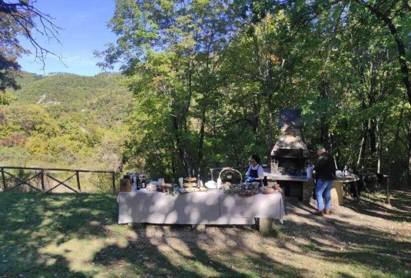 Umbria: Truffle hunting in the woods with lunch - Key Points