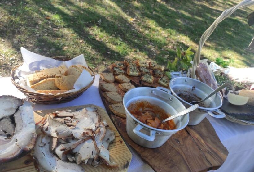 Umbria: Truffle hunting in the woods with lunch - A Detailed Look at the Truffle Hunting Experience