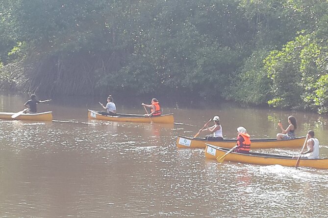 Unawatuna Lagoon Canoeing Excursion - The Practicalities: Price, Duration, and Logistics