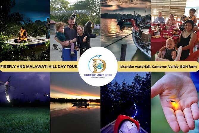 Unbelievable Firefly Kuala Selangor Day Tour - Key Points