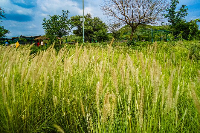 Uncover Hidden Treasures of Rural Life on a Village Tour - Who Should Consider This Tour?