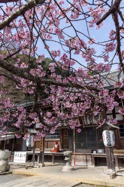 Uncover The Best Foodie Spots In Kyoto Pontocho With Guide - Discover the Gion District