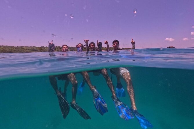 Under a Sea of Adventures, Unforgettable Diving. - Exceptional Safety and Guidance