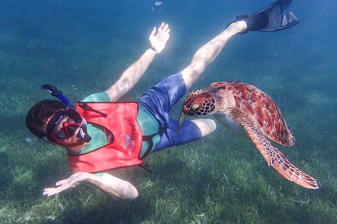 Under the Sea snorkeling(Stingray/Kayak/ Power Snorkel available) - Key Points