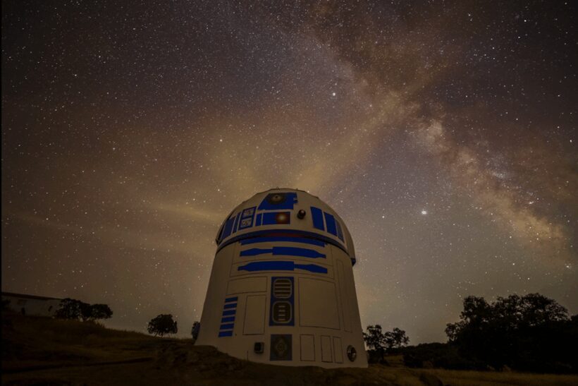 Under the Stars: Night Immersion with Sky Interpretation - Key Points
