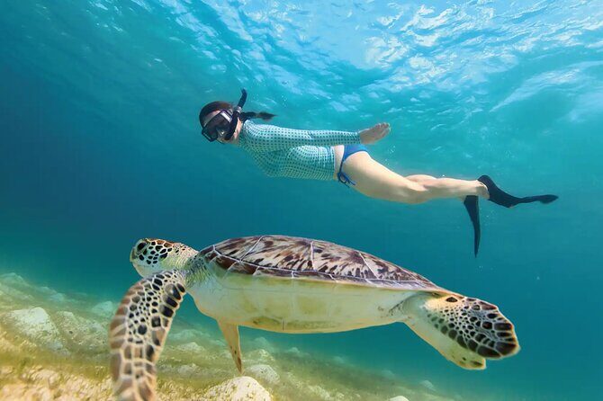 Underground Cenote River and Akumal Turtle Search - Key Points