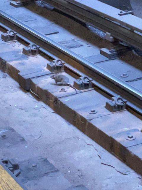 Underground New York City Subway Tour - Who Should Consider This Tour?