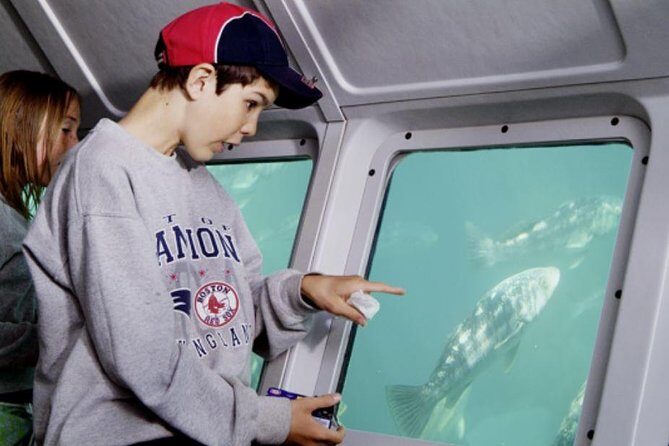 Undersea Expedition: Catalina Island Tour - The Experience in Detail