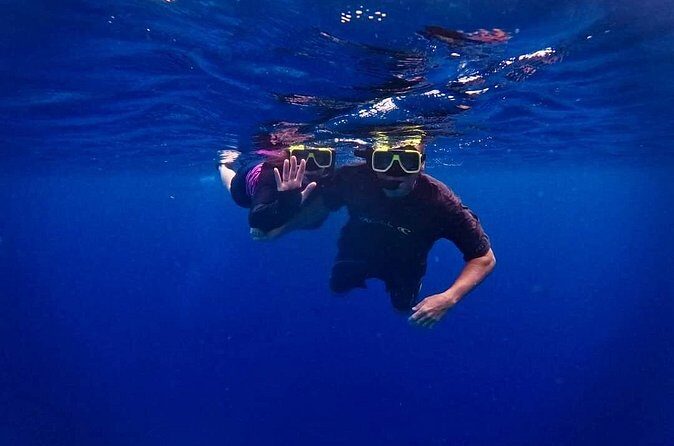 Underwater Guided Snorkeling Adventure in Bonaire - Why This Tour Matters for Your Bonaire Visit