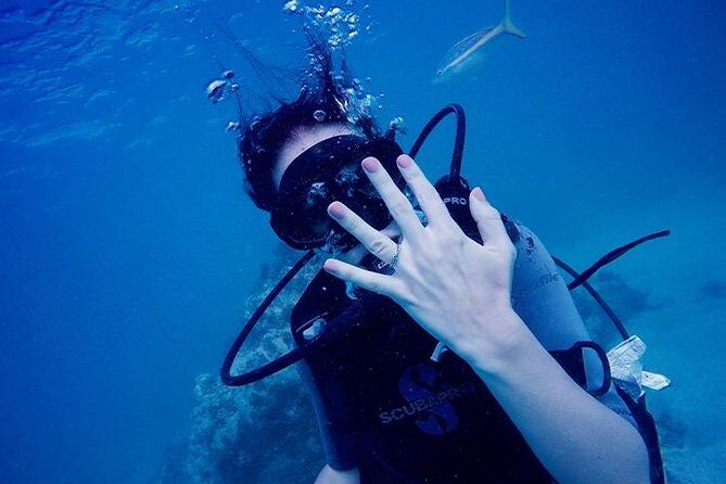 Underwater Marriage Proposal - An In-Depth Look at the Underwater Proposal Experience in Punta Cana