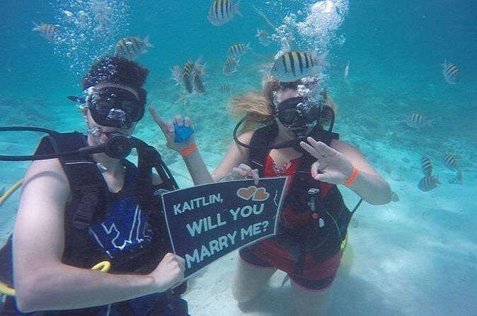 Underwater Marriage Proposal - The Sum Up: Who Should Consider This Experience?