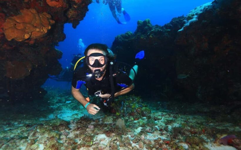 Underwater Museum Musa : SCUBA DIVING FOR BEGINNERS - What Makes This Tour Stand Out?