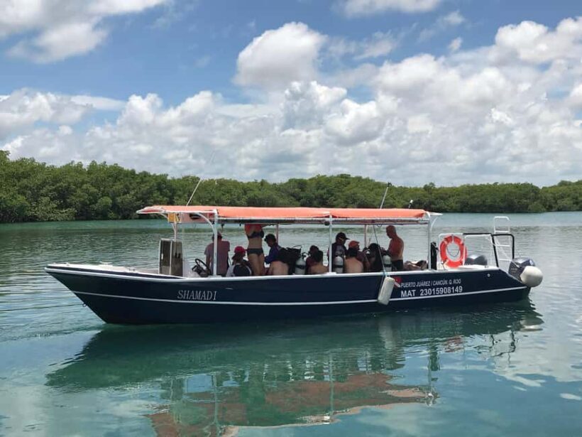 Underwater Museum Musa : SCUBA DIVING FOR BEGINNERS - Price and Value