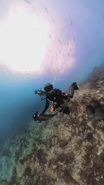 Underwater Photography Course - What Is the Underwater Photography Course in the Maldives?