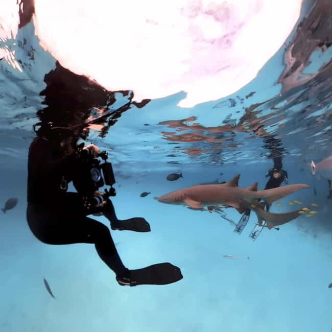 Underwater Photography Course - Practical Details and Logistics