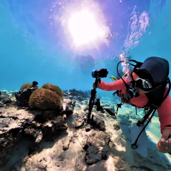 Underwater Photography Course - The Value of This Underwater Photography Course