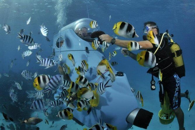 Underwater Scooter - Why This Experience Might Be the Right Choice for You