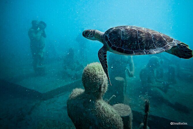 Underwater Sculpture Park Snorkel Adventure - An In-Depth Look at the Under SXM Underwater Sculpture Park