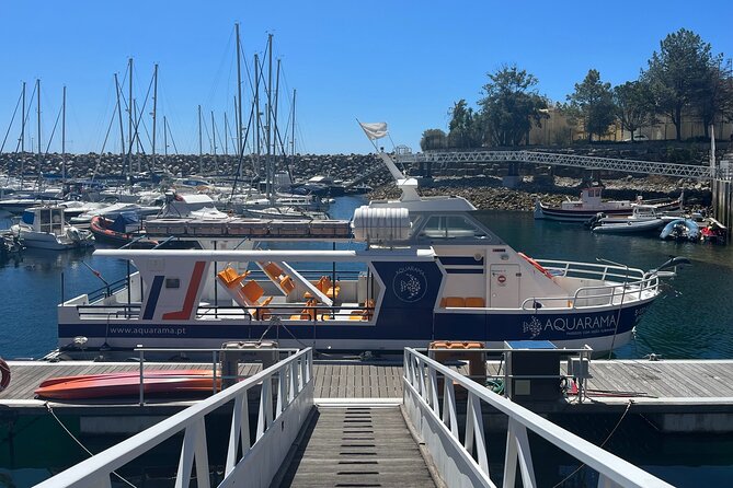 Underwater Viewing Tours Along the Coast of Sesimbra - Accessibility and Participation