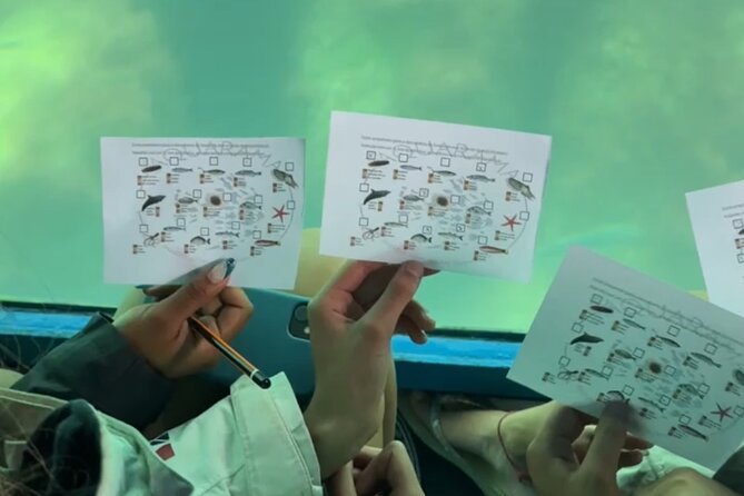 Underwater Viewing Tours Along the Coast of Sesimbra - Exploring Sesimbras Coastal Wonders