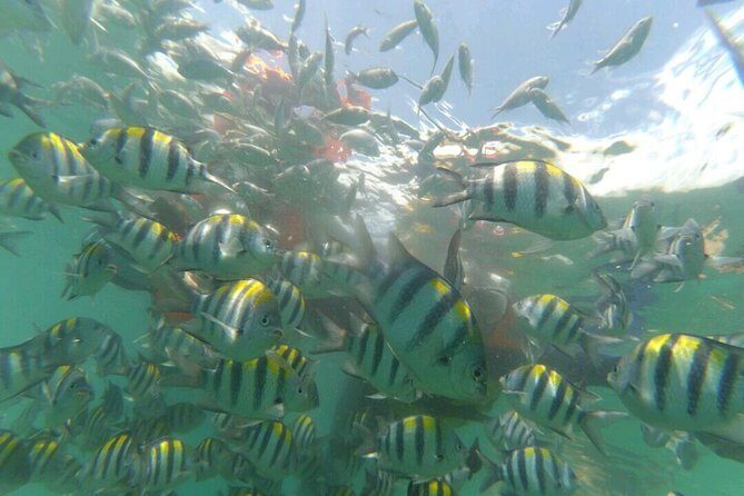 Underwater Wonders of South Gili - What Makes This Tour Stand Out?