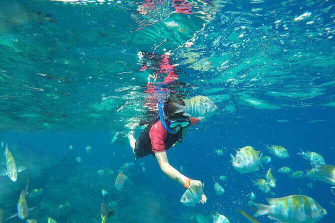 Underwater Wonders Snorkeling Adventure - Group Size and Booking Considerations