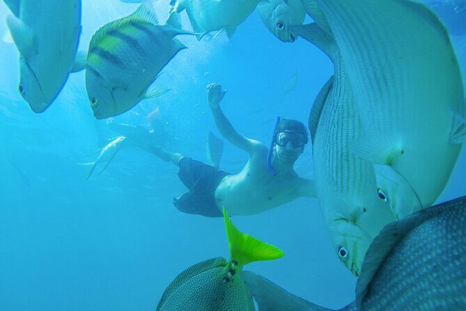 Underwater Wonders Snorkeling Adventure - Why This Tour is Worth Considering
