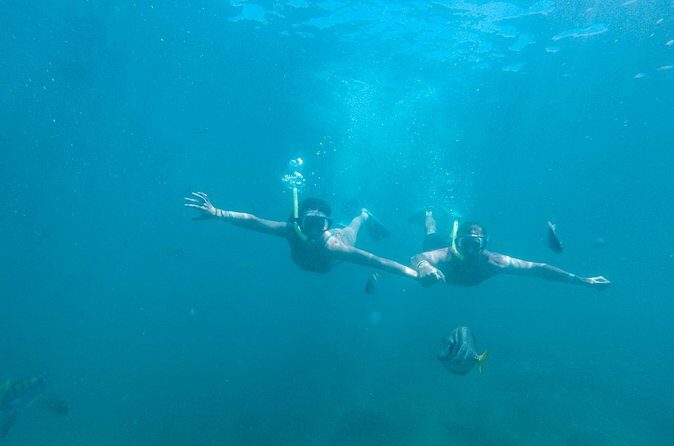 Underwater Wonders Snorkeling Adventure - Who Will Enjoy This Tour?