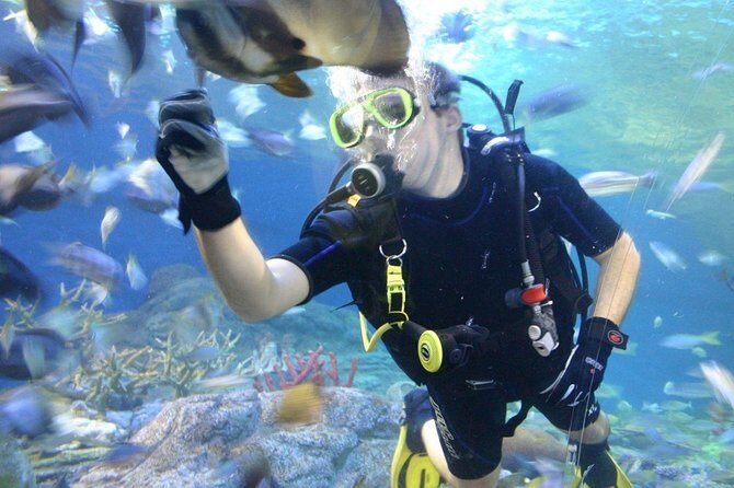 Underwater World at Pattaya Admission Ticket - A Closer Look at Underwater World Pattaya