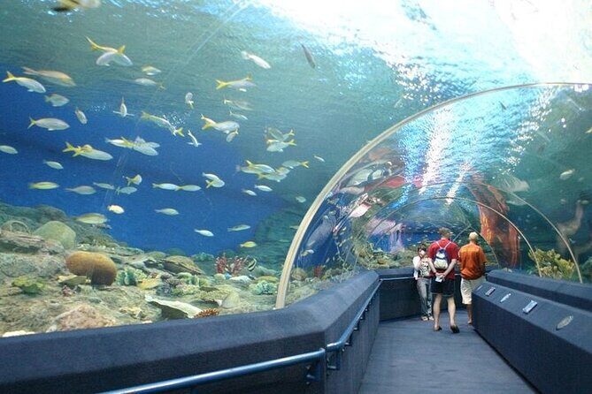 Underwater World in Pattaya Admission Ticket - An In-Depth Look at Underwater World Pattaya