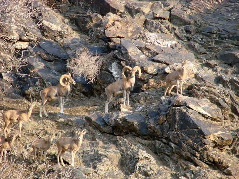 Undiscovered Uzbekistan - Hayat Village Tour from Samarkand - Key Points